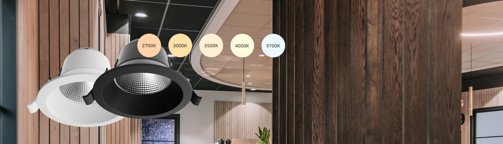 New: 5-CCT Downlights – One series, endless possibilities %%sep ...